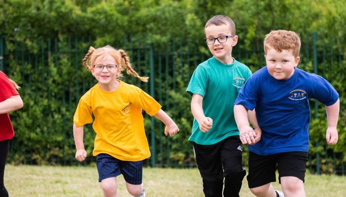 Curriculum Overview - Gossey Lane Academy